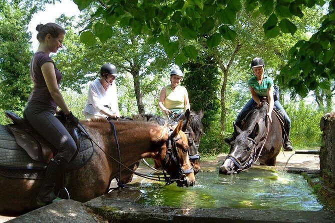 Half-Day Horseback Ride in Tuscany - The Experience Through the Eyes of Past Guests