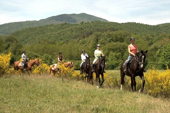 Half-Day Horseback Ride in Tuscany - FAQ