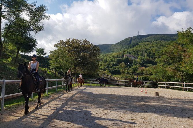 Half-Day Horseback Ride in Tuscany for beginner riders - Introduction: What Makes This Horseback Experience Special?