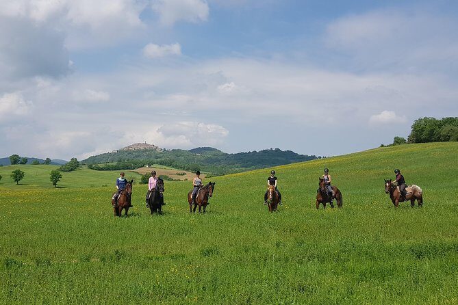 Half-Day Horseback Ride in Tuscany for beginner riders - What to Expect: The Ride and Its Highlights