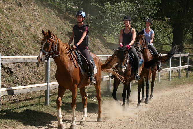 Half-Day Horseback Ride in Tuscany for beginner riders - Why This Experience Works—and Its Limitations