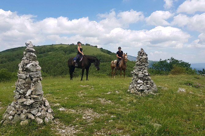 Half-Day Horseback Ride in Tuscany for beginner riders - Is This Tour Right for You?