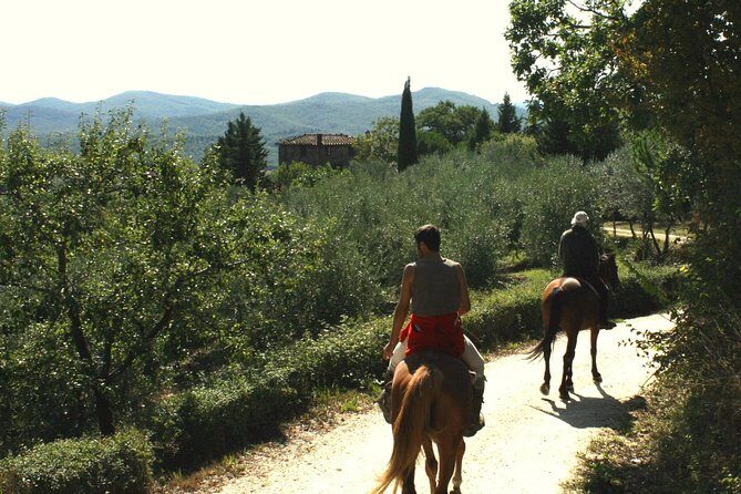 Half-Day Horseback Ride in Tuscany for beginner riders - Final Thoughts: Who Will Love This Tour?