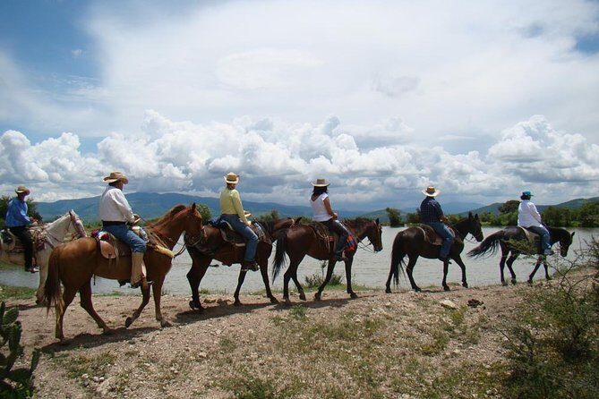 Half-Day Horseback Riding Adventure - What the Reviews Say