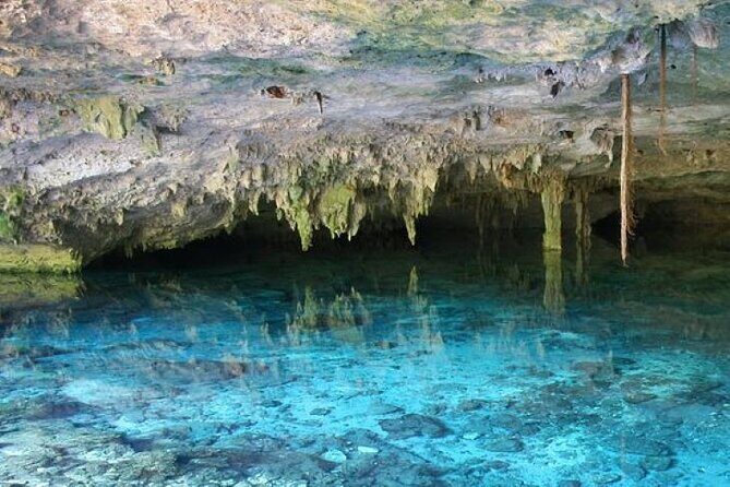 Half Day Horseback Riding Adventure with Cenotes in the Jungle - A Closer Look: What’s Included and What’s Not