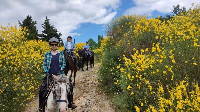 Half-day horseback riding day trip in Tuscany for beginners - Who Will Love This Experience?