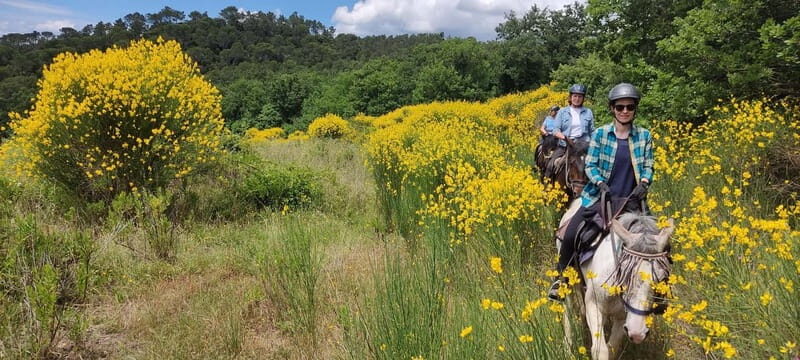 Half-day horseback riding day trip in Tuscany - Starting Point and Initial Orientation