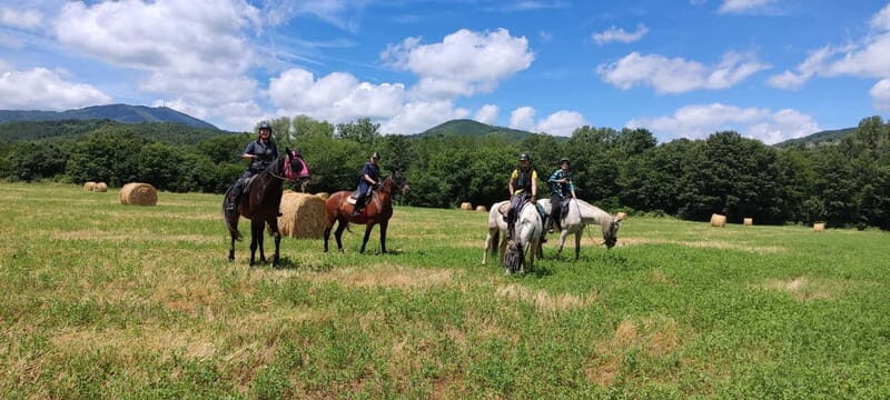 Half-day horseback riding day trip in Tuscany - The Ride Through Tuscany’s Natural Charms