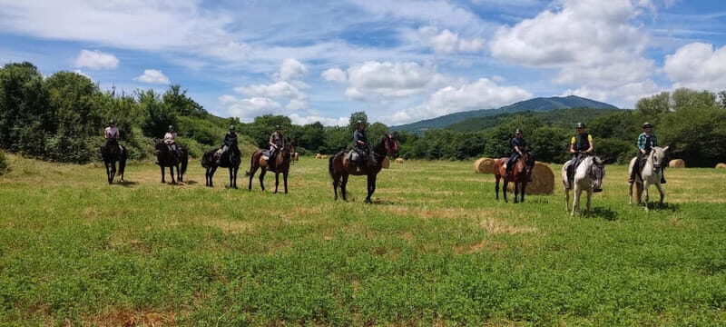 Half-day horseback riding day trip in Tuscany - The Trot and Gallop Opportunities