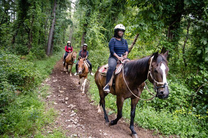 Half-day Horseback Riding through the Mountains Punta Cana - The Experience in Detail