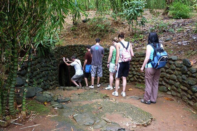 Half Day Hue to DMZ by Private Car - Visit Vinh Moc Tunnels - Who is This Tour Best For?
