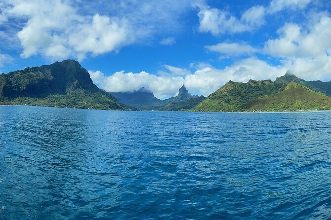 Half-Day Humpback Whales Encounter in Moorea - Why Moorea’s Whale Encounter Is Special