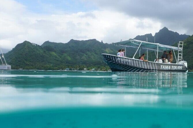 Half-Day Humpback Whales Encounter in Moorea - What to Expect: An Authentic Marine Encounter