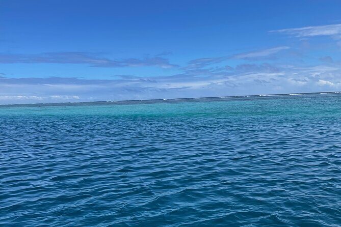 Half-Day Humpback Whales Encounter in Moorea - Practical Tips for Travelers