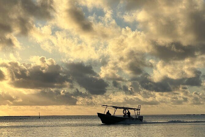 Half-Day Humpback Whales Encounter in Moorea - Who Should Consider This Tour?