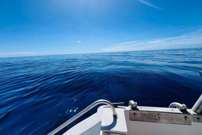 Half-Day Humpback Whales Encounter in Moorea - Final Thoughts: Is It Worth It?