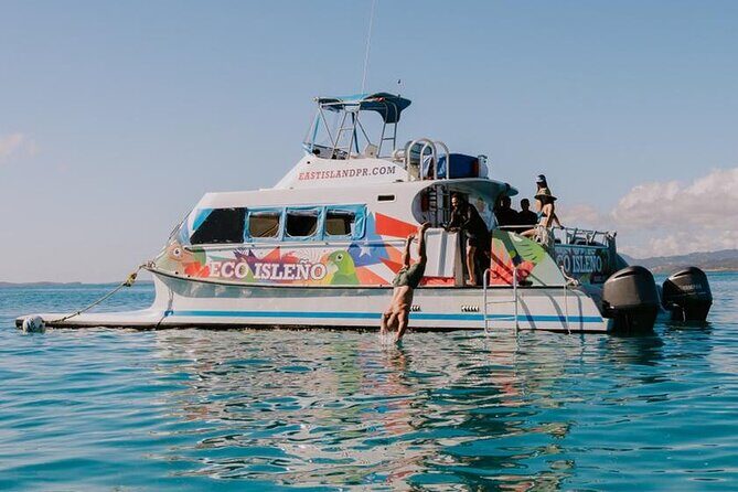 Half Day Icacos Island Tour without Transportation Service - Key Points