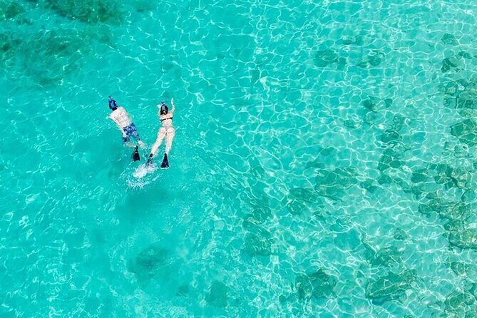 Half Day Icacos Island with Roundtrip Transport from San Juan - Key Points