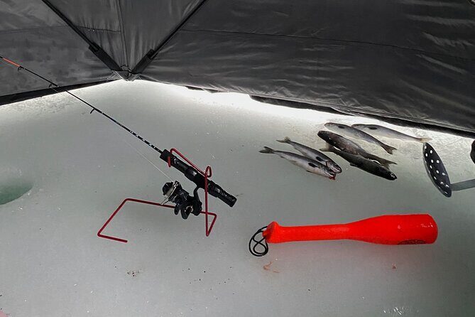 Half Day Ice Fishing Adventure in Wasilla - Who Will Enjoy This?