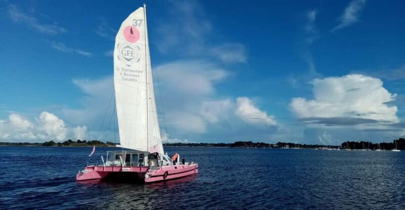 Half day in the Bay of Concarneau - Key Points