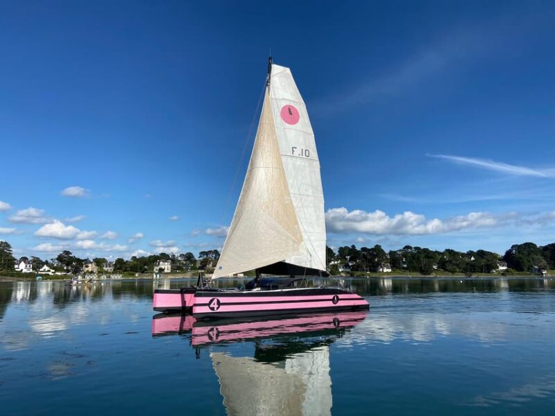 Half day in the Bay of Concarneau - Final Thoughts: Is This the Experience for You?