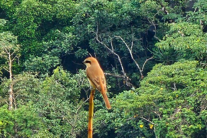 Half Day in The Rock Viewpoint Laos - FAQ