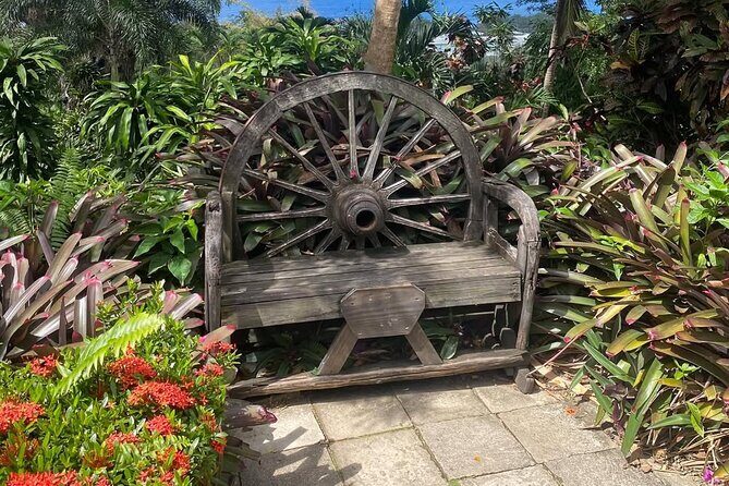 Half-Day Island Adventure of St Kitts - In The Sum Up