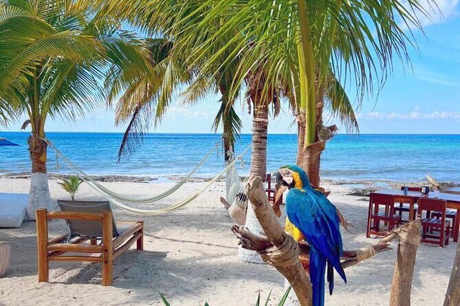 Half-Day Island Tour with Mayan Experience & Beach Break - Whats Included and Whats Not