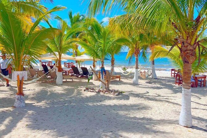 Half-Day Island Tour with Mayan Experience & Beach Break - Transportation & Group Size