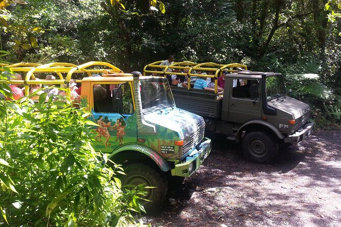 Half Day Jeep Safari - Exploring the Half Day Jeep Safari in Dominica: A Practical and Authentic Adventure