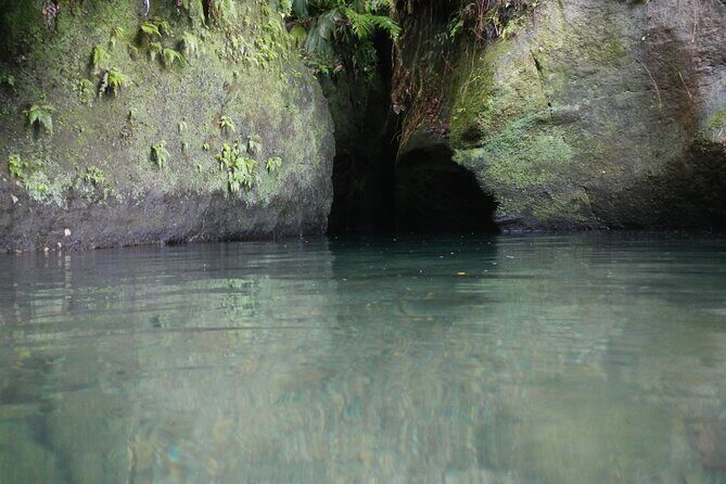 Half Day Jeep Safari - When to Book and Useful Tips