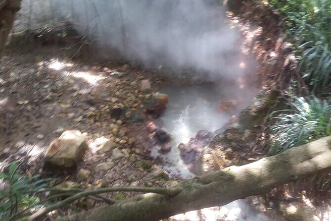 Half Day Jeep Safari - Who Will Love This Tour?