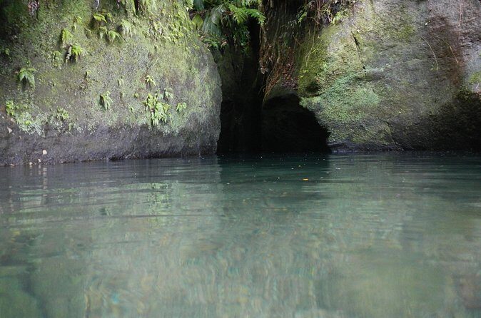 Half Day Jeep Safari - Final Words