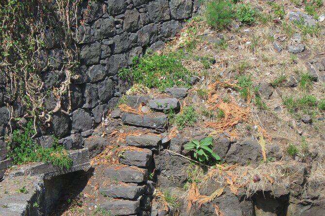 Half day jeep Wine tour and tasting, & sea cliff adventure - Why Youll Love This Tour