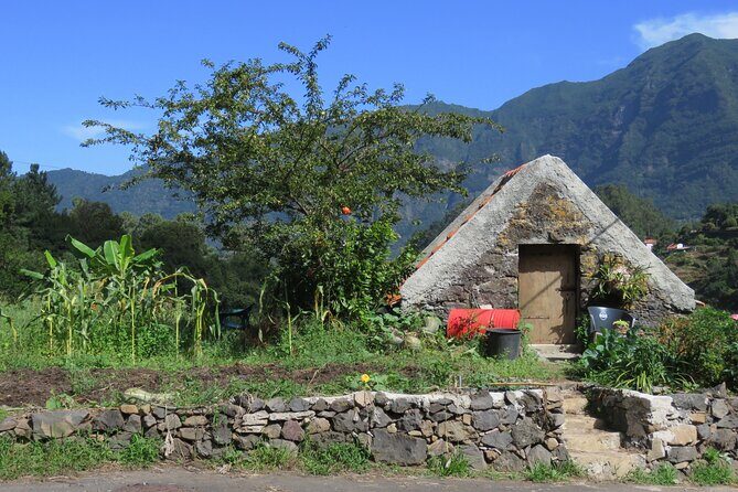 Half day jeep Wine tour and tasting, & sea cliff adventure - The Sum Up: Why This Tour Is a Great Choice