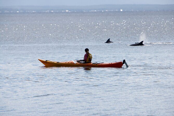 Half-Day Jervis Bay Sea Kayak Tour - An Introduction to the Jervis Bay Sea Kayak Tour