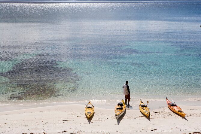 Half-Day Jervis Bay Sea Kayak Tour - The Experience’s Real Value