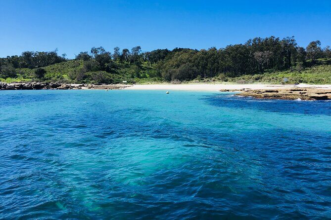Half-Day Jervis Bay Sea Kayak Tour - Authentic Encounters and Insights from Travelers
