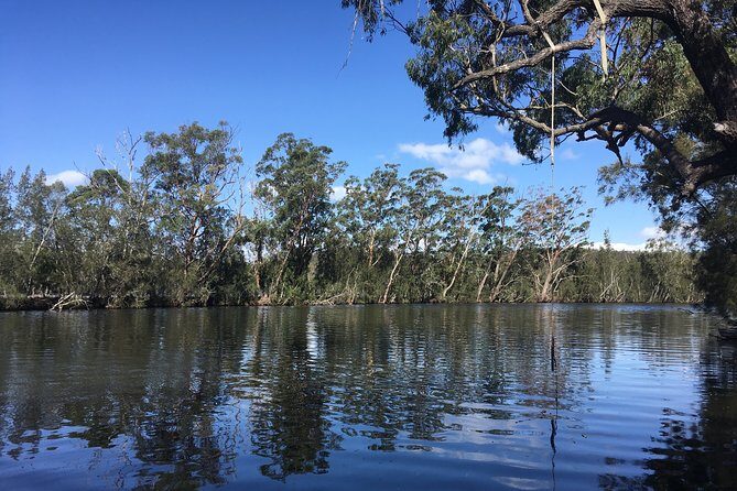Half-Day Jervis Bay Sea Kayak Tour - The Sum Up: Who Will Love This Tour?