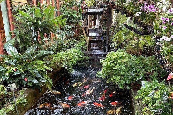 Half Day Join Tour Chiang Rai Pick Up Only In Chiang Rai - Frequently Asked Questions