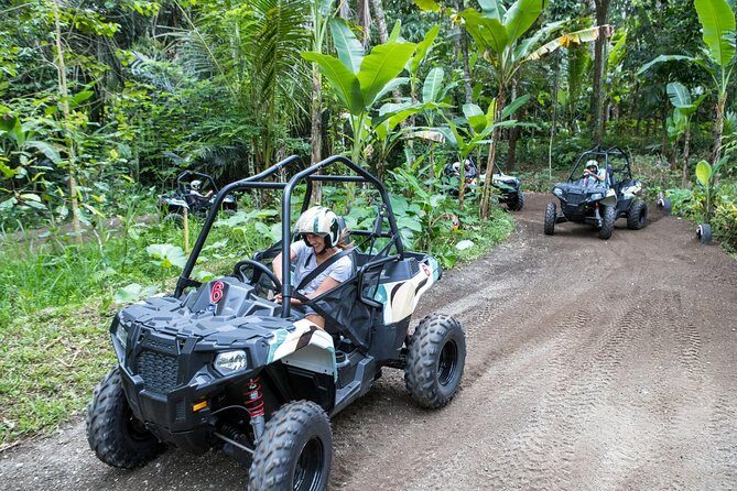 Half Day Jungle Buggies in Bali with Guide - Practical Tips for Participants