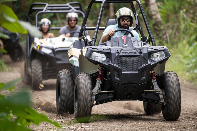 Half Day Jungle Buggies in Bali with Guide - FAQ