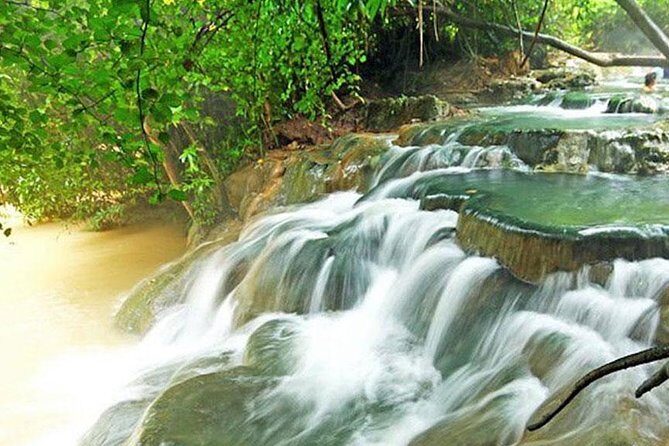 Half Day Jungle Tour to Emerald pool and Krabi Hot Spring - The Itinerary in Detail
