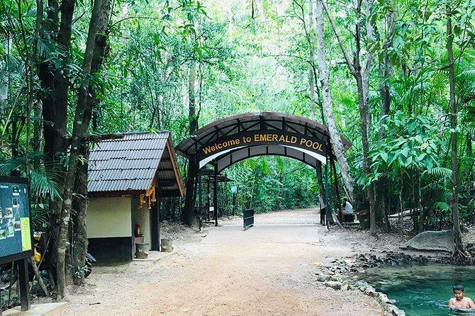 Half Day Jungle Tour to Emerald pool and Krabi Hot Spring - Final Thoughts: Who Will Love This Tour?