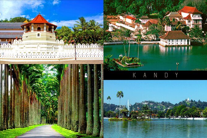 Half-Day Kandy City Tour by Tuk Tuk - Who Is This Tour Best For?