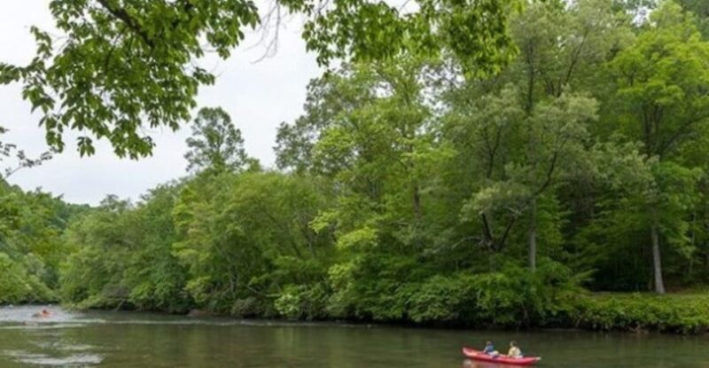 Half Day Kayak Adventure family journey - Who Is This Tour Best For?