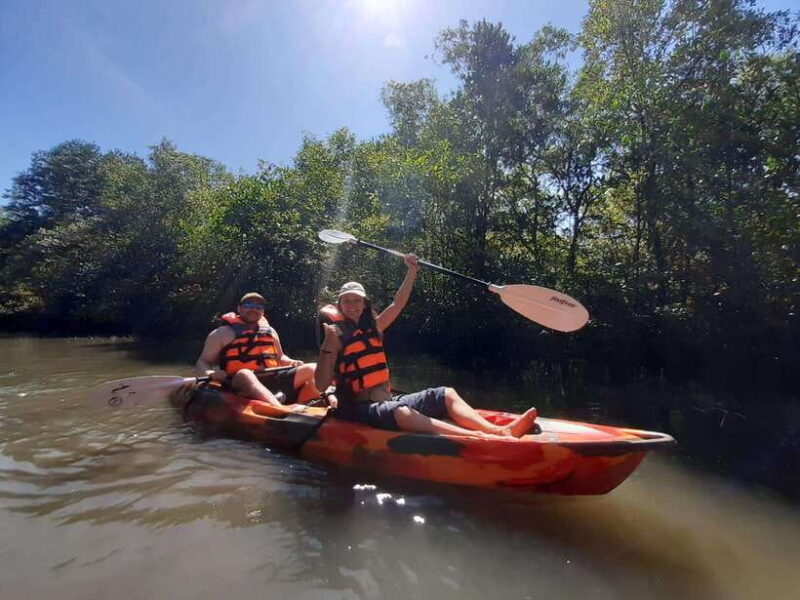 Half Day Kayak Guided Tour to the Green Mangroves Forest - An In-Depth Look at the Tour Experience