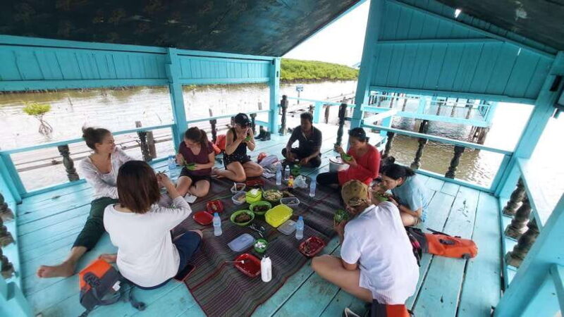 Half Day Kayak Guided Tour to the Green Mangroves Forest - Practical Tips for Participants