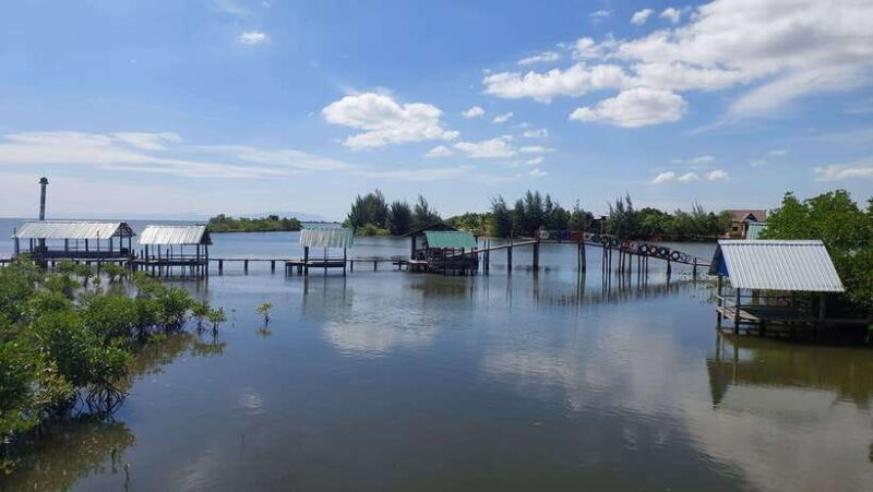Half Day Kayak Guided Tour to the Green Mangroves Forest - FAQ