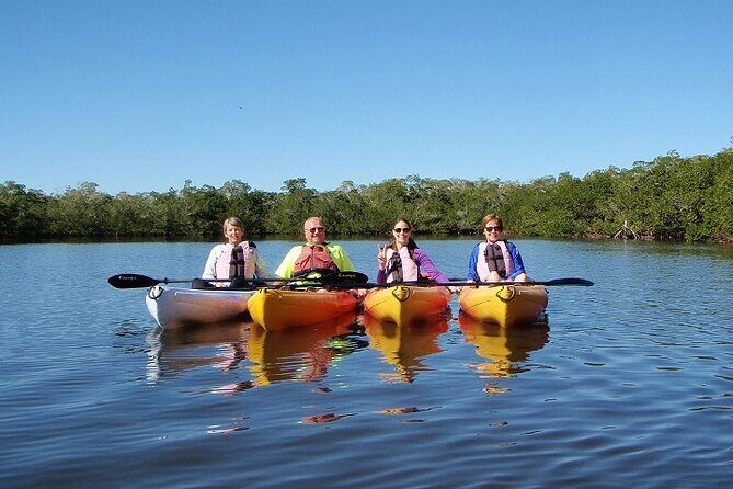 Half Day Kayak or SUP Rental (3hr) - Pelican Bay - Easy, Flexible Water Adventure in Pelican Bay